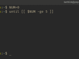 Bash While And Until Loop Explained With Examples Ostechnix