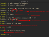 Bash Variables Explained Types Of Bash Variables Ostechnix