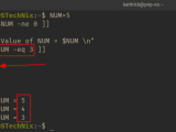 Bash While And Until Loop Explained With Examples Ostechnix