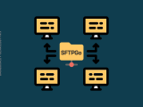 Setup Sftp Server With Sftpgo In Linux Ostechnix