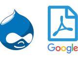 How To Display Pdfs On A Drupal Site Ostraining