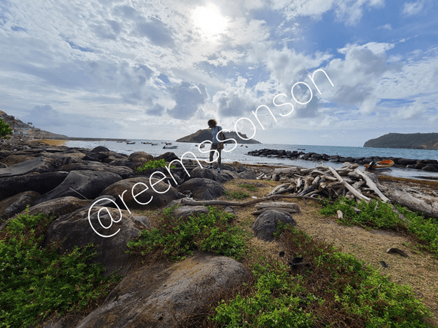 Eight reasons why countryside living is good for you – Our Tropical Living