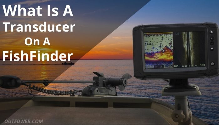 What Is A Transducer On A Fish Finder - Outed Web