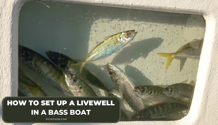 How To Set Up A Livewell In A Bass Boat - Outed Web