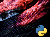 Expert Python Programming Roadmap Outshine Labs