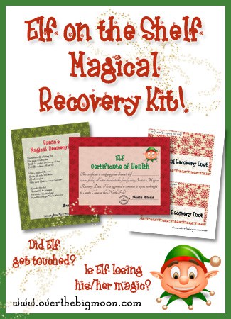 Elf Magical Recovery Kit