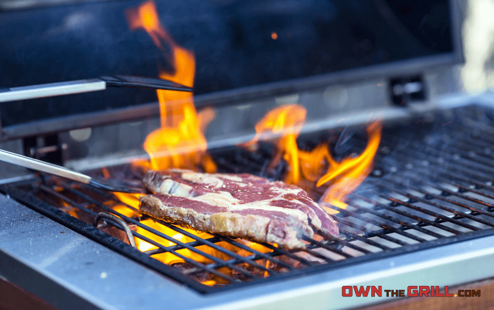 Two Zone Grilling: What Is It & What Is It Used For? - Own The Grill