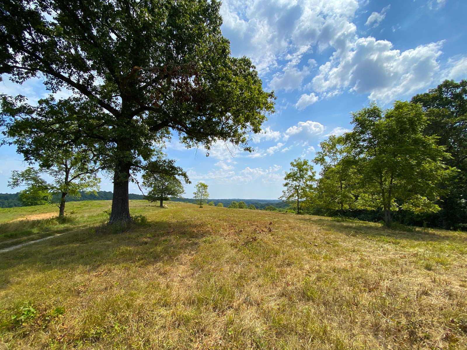 Jacks Fork Farmsteads Parcels V and W - OzarkLand.com