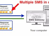 Javascript Send Multiple Sms With The Http Rest Api Code Sample