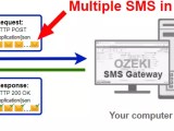 Python Send Multiple Sms With The Http Rest Api Code Sample