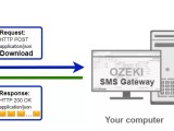 Python Receive Sms With The Http Rest Api Code Sample