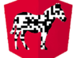 Angular Qr Code Scanner Component Ngx Scanner Angularjs Plugin