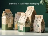 Examples Of Sustainable Packaging Benefits And Materials