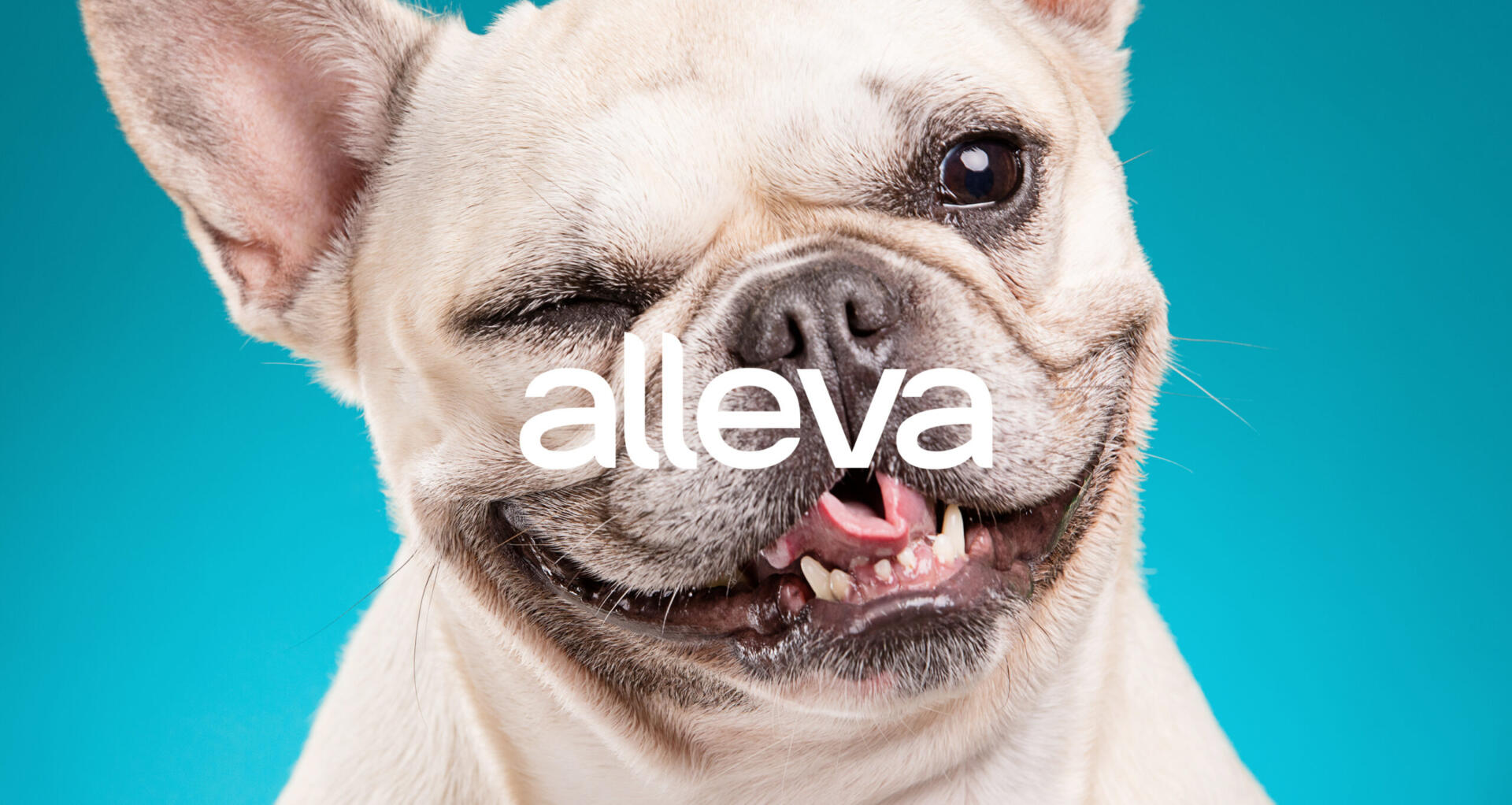 Alleva Pet Food – Packaging Of The World