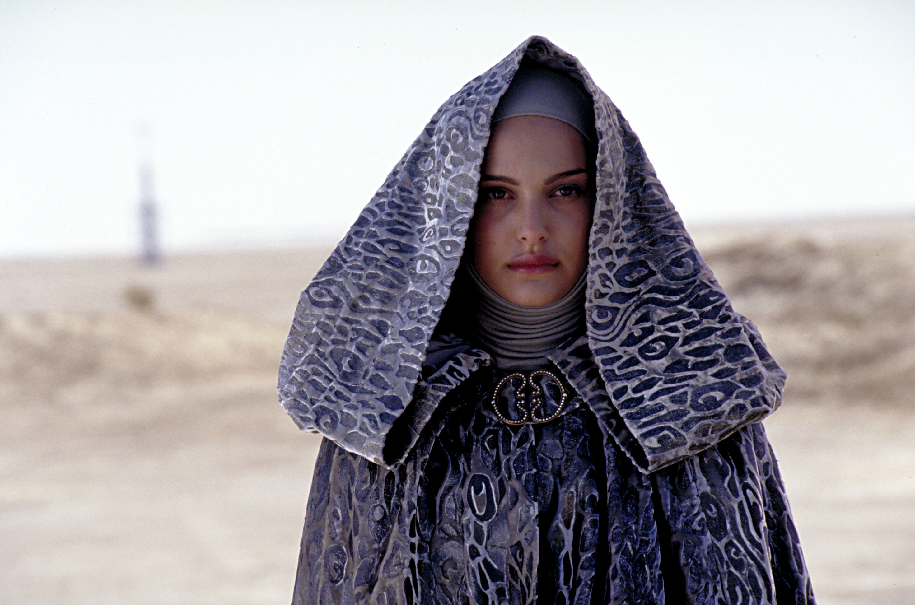 Padmé – DIY The Galaxy Of Star Wars