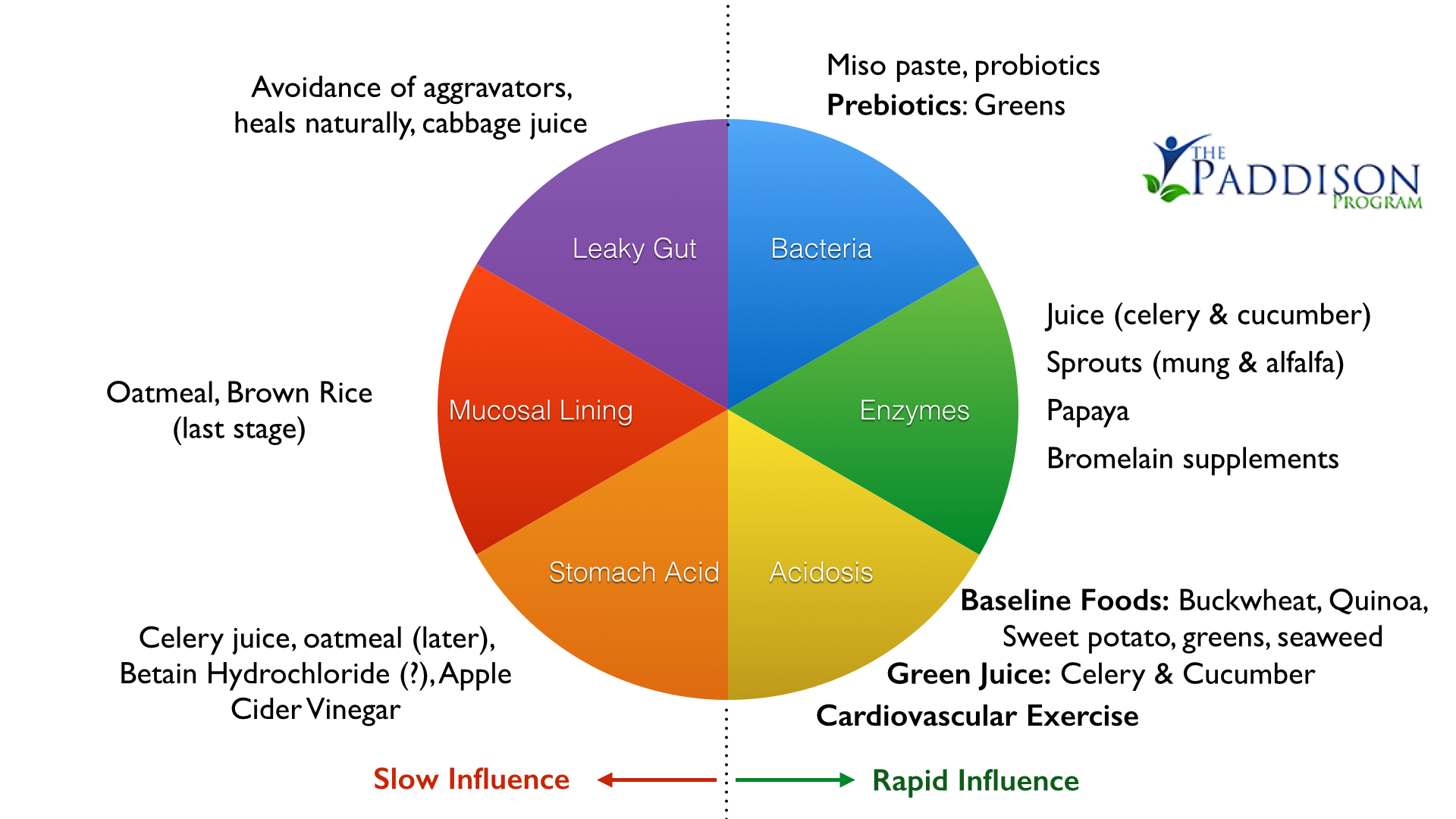 Paddison Program Wheel 3rd June 2016 | The Paddison Program for ...