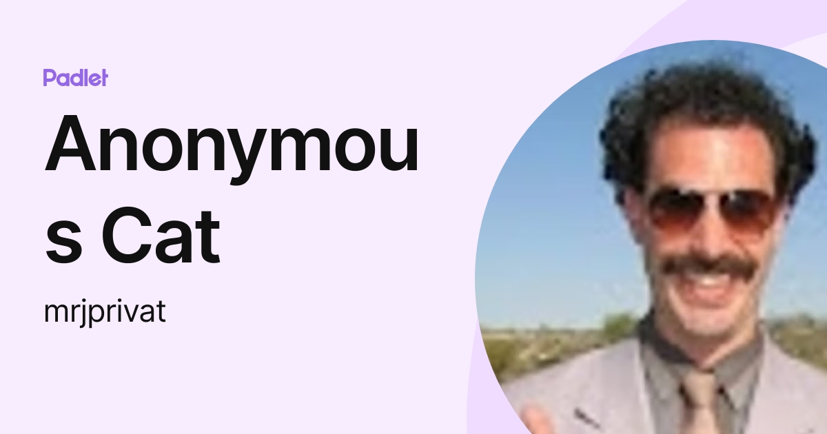 Anonymous Cat Mrjprivat Profile Padlet