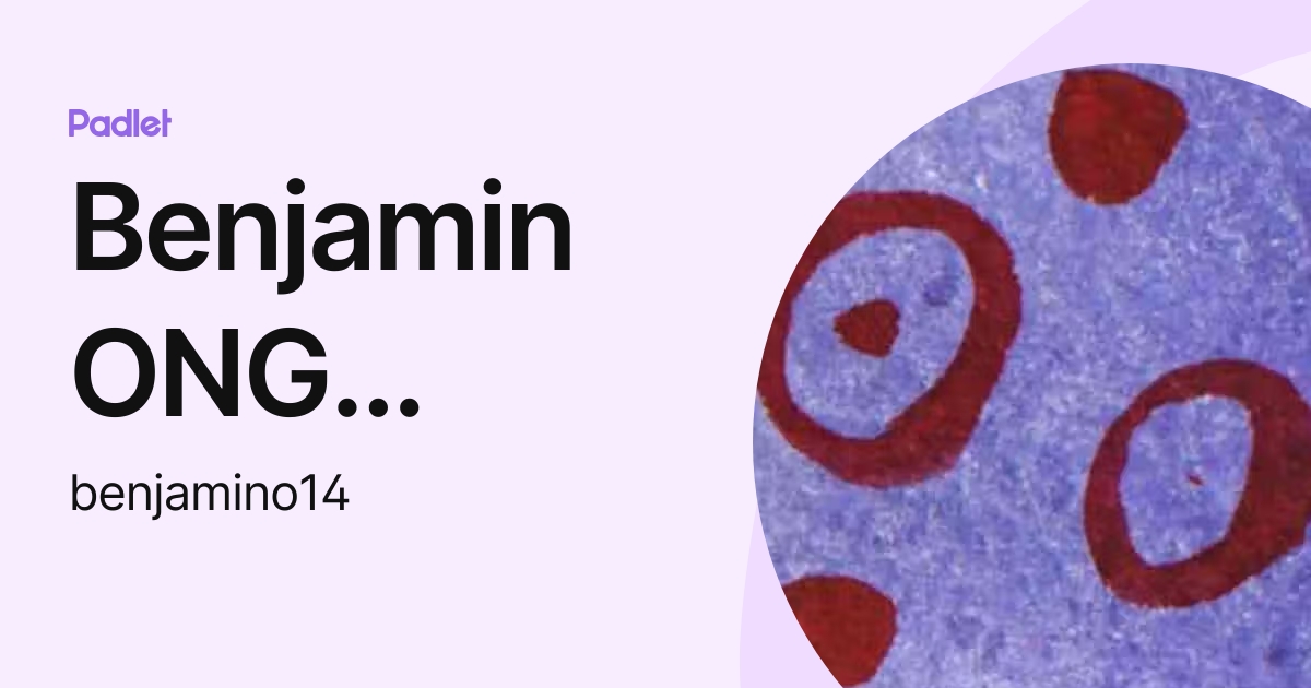 Benjamin Ong Nyp Benjamin Ong2 Profile Padlet