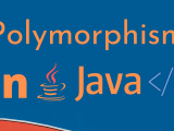 Polymorphism In Java Programming Language Page Start