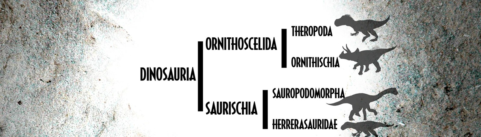 Ornithoscelida y ¿la nueva clasificación de los Dinosaurios? - El Pakozoico
