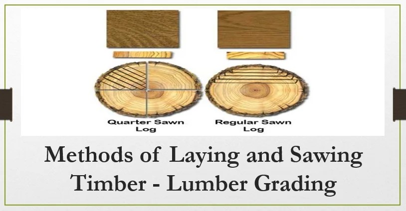 Methods of Laying and Sawing Timber - Lumber Grading