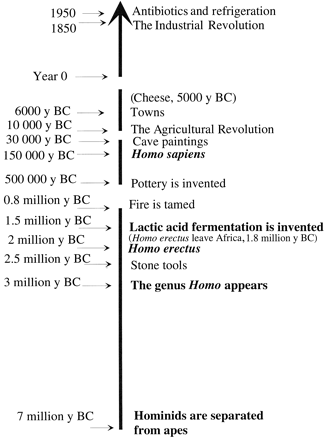 Fermentation… on Acid! | Paleocave Blog