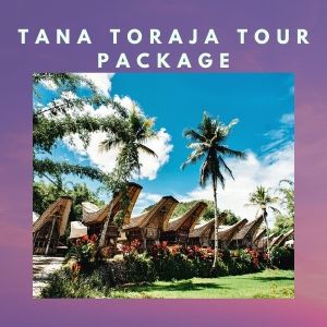 Tana Toraja Tour Package - Sulawesi Tour | Pamitran Tours