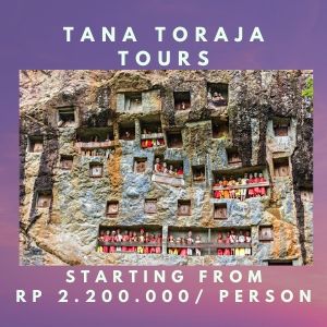 Tana Toraja Tour Package - Sulawesi Tour | Pamitran Tours