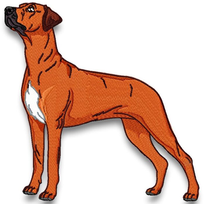 Rhodesian Ridgeback Realistic Machine Embroidery Pam's Embroidery Designs