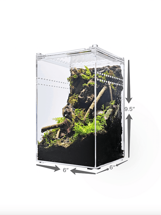 HerpCult Acrylic Enclosure Small Tall - Predator and Prey Exotics