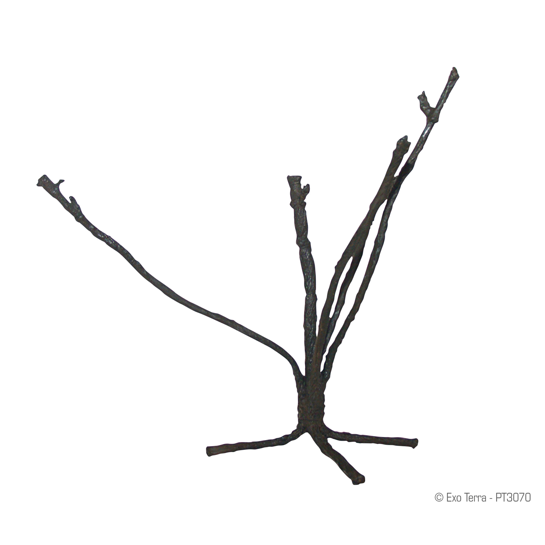 Exo Terra Jungle Tree Small - Predator and Prey Exotics