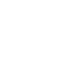 Portfolio Parallel Group
