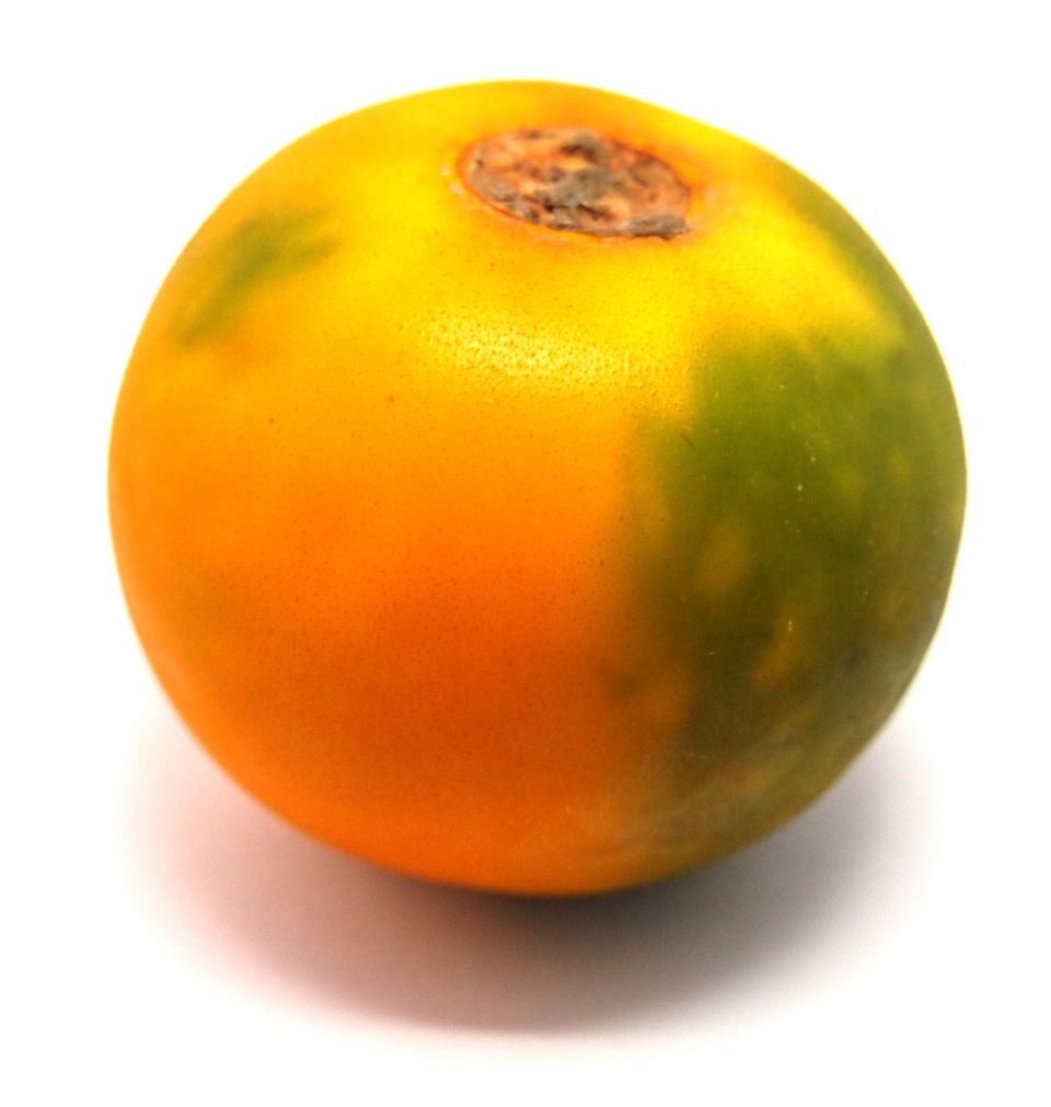 SAS Frozen Lulo Pulp 397 g – Hi Parce!