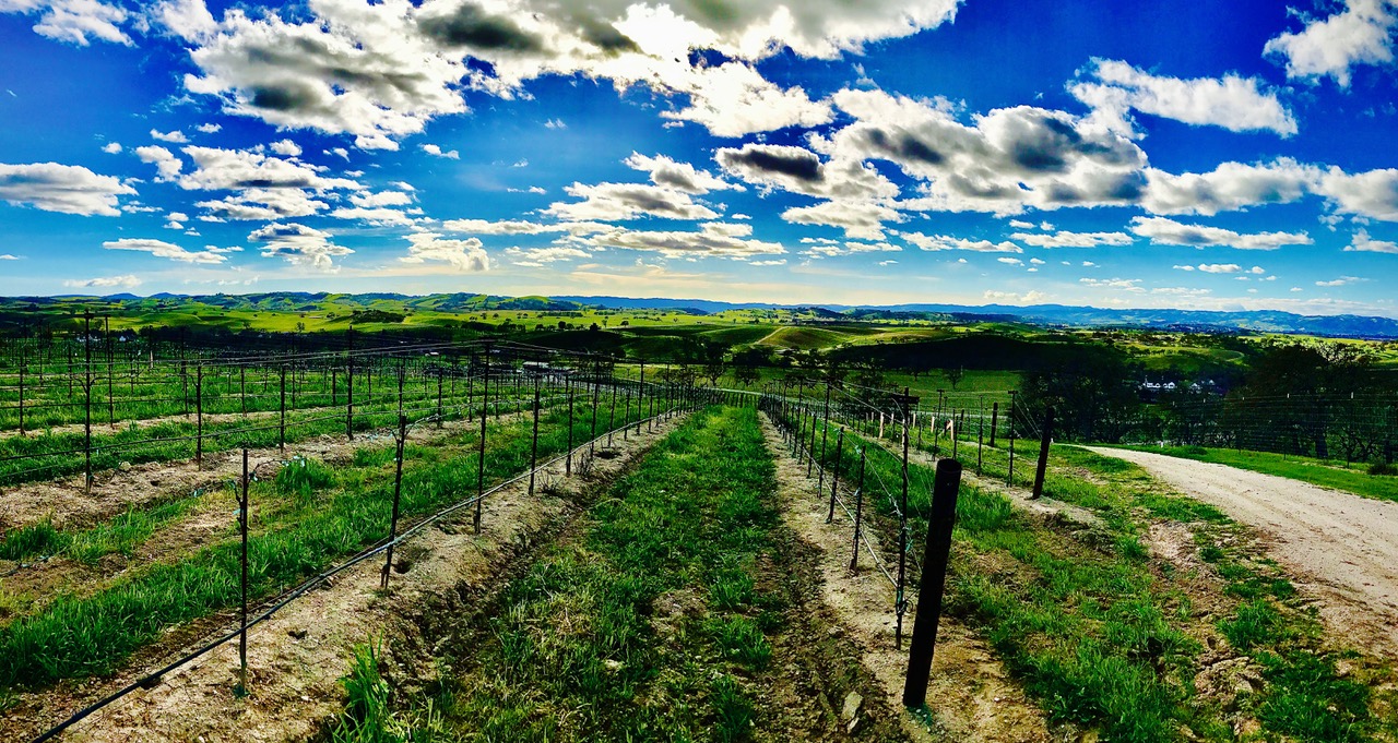 El Pomar District AVA | Paso Robles Wine Country Alliance