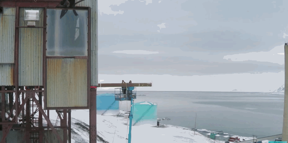 See Centripetal Force in Action as Scientist Jumps Off Building (GIF ...