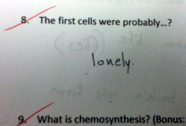 17 Very Funny Answers to Exam Questions That Students Have Given