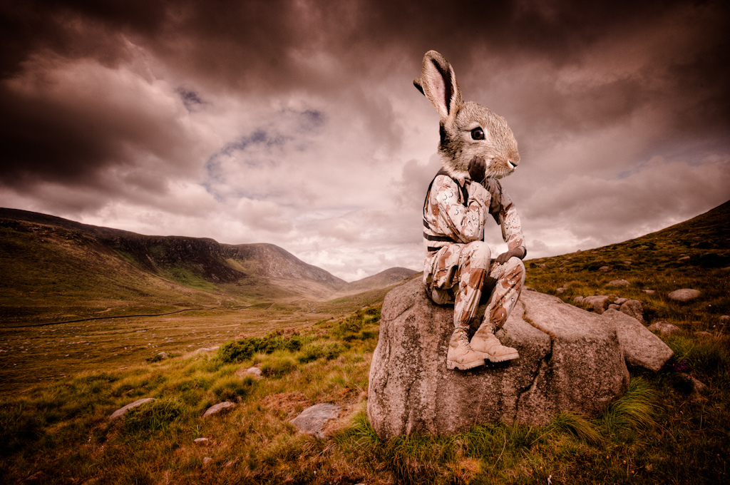 Photography Special: Mad Rabbits by Neil Carey | PastieBap.com