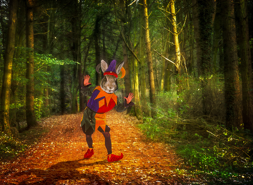 Photography Special: Mad Rabbits by Neil Carey | PastieBap.com