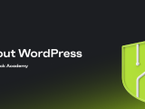 About Wordpress Patchstack Academy