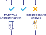 Quality Control Testing For Cell Characterization