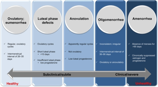 What is an Anovulatory Cycle? - Pathosomes