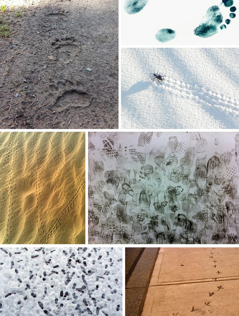 Found Patterns Feathers Pattern Observer - Best Abstract Textures in Retina