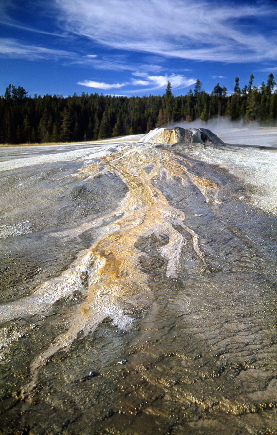 June | 2011 | Seattle Now & Then