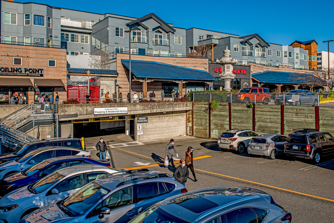 Seattle Now & Then: The Jackson Street Regrade, 1908 | Seattle Now & Then