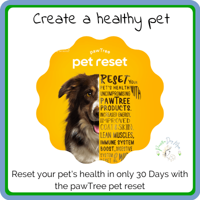 How to improve your pet's health in only 30 Days with the pawTree pet ...