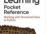 Book Review Machine Learning Pocket Reference Practical Business Python