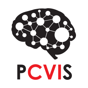 The CVI Range Endorsement - A statement from PCVIS | Pediatric Cortical ...