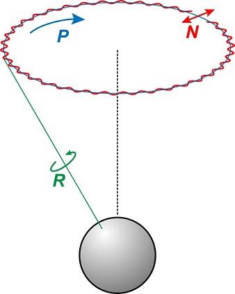Difference Between Circular Motion and Rotational Motion