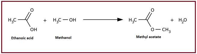 Difference Between Esterification and Transesterification | Definition, Mechanism, Examples