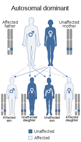 Difference Between Autosomal and X-linked Inheritance | Definition, Types, Examples and Differences